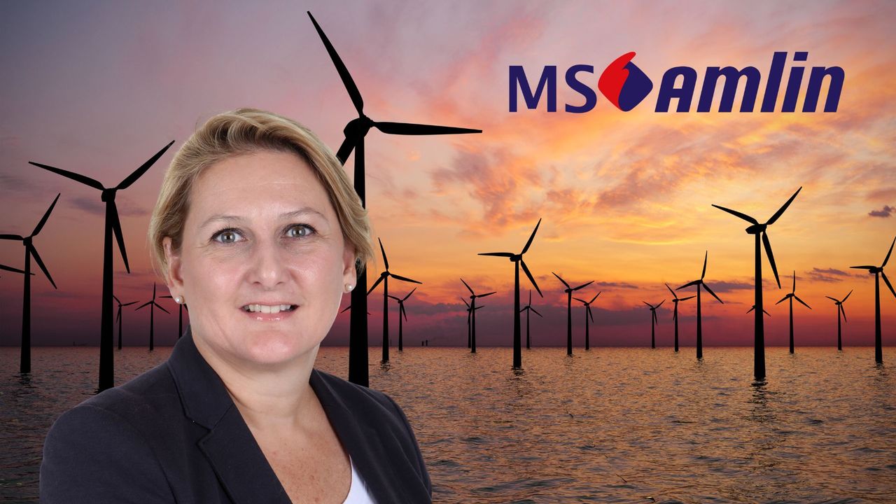 MS Amlin gets energised with head of natural resources | Intelligent ...